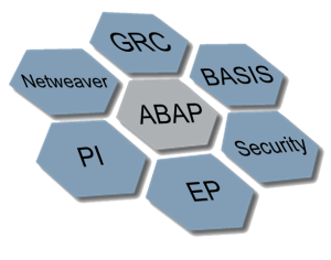Everything You Need To Know About SAP Basic Training